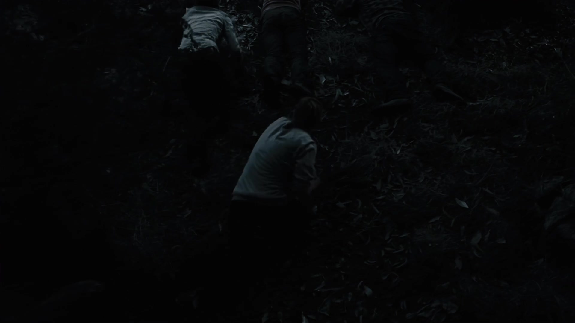 HD Screencaps - twtwb 0258 - Phoebe Tonkin Web